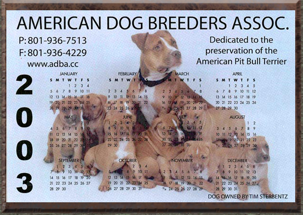 Red-Nose-APBT-Calendar-2003-Breeders-Convention – HumboldtPitBulls.Com